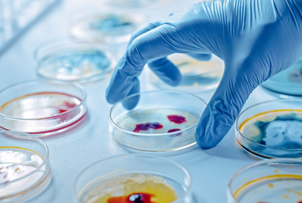 Karachi Lab
